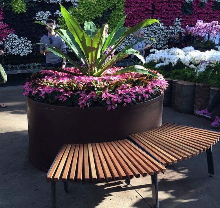 Corten Tree Ring Planter - Sydney Royal Botanic Gardens - Iron Bark ...